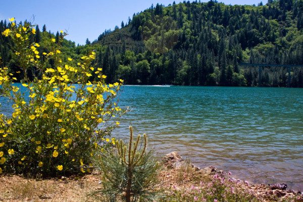 Local Attractions | The Inn At Shasta Lake